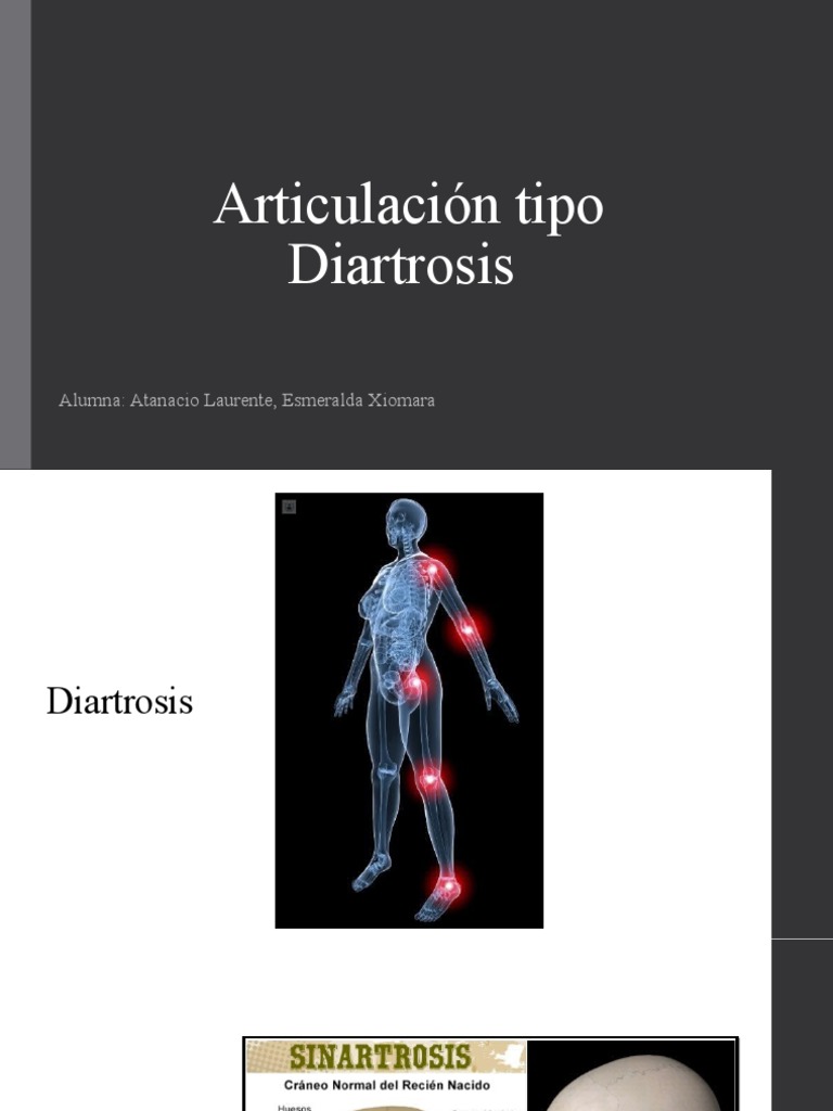 Articulación Tipo Diartrosis | PDF