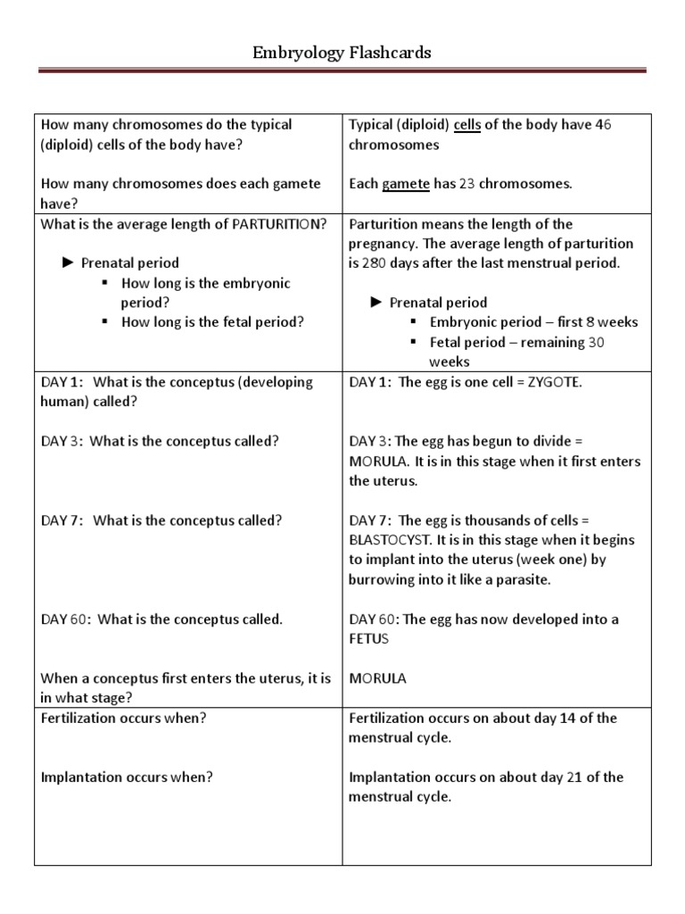 Embryology Flashcards | PDF | Implantation (Human Embryo) | Prenatal ...