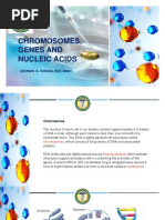 Nucleic Acid Project | PDF | Nucleic Acids | Dna