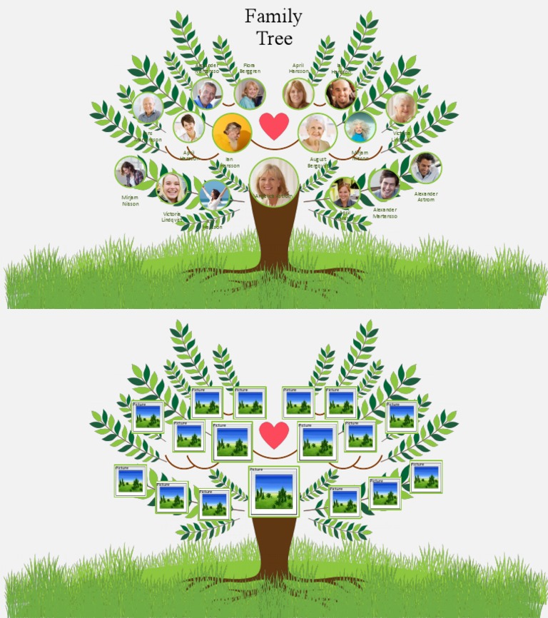 9slide05 - Family Tree Infographic 1 | PDF