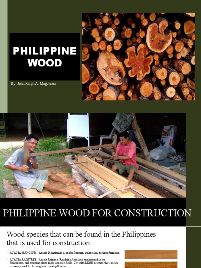 Philippine Wood: By: John Ralph A. Magbanua | PDF | Wood | Plywood