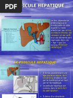 Anatomie de la Loge Rénale et Pédicule | PDF | Péritoine | Rein