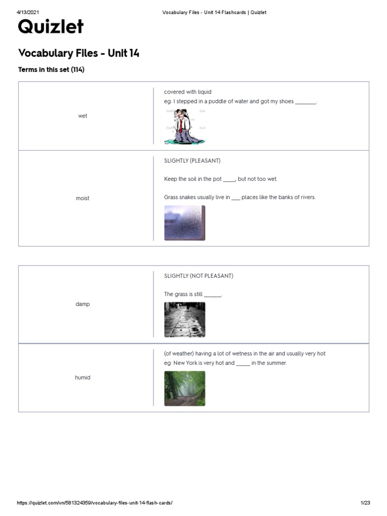 Vocabulary Files C1 Unit 14 | PDF
