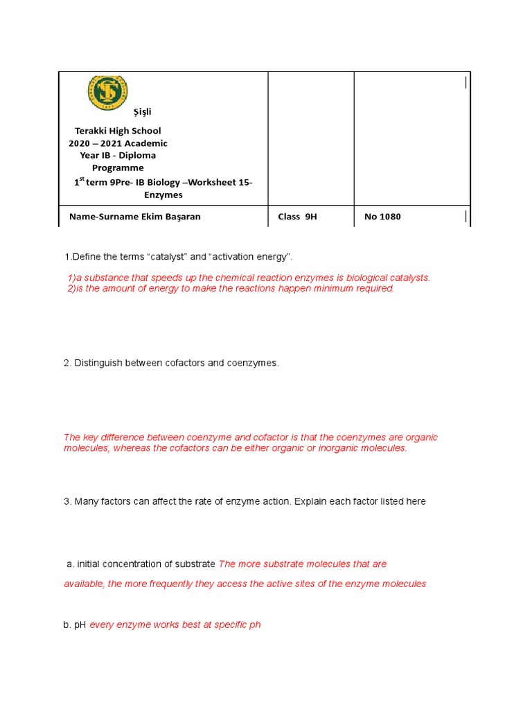 Worksheet 15-ENZYMES | PDF | Enzyme | Chemical Reactions