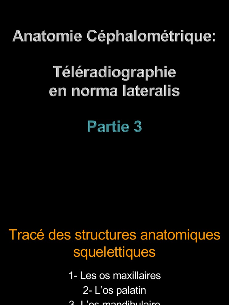 Céphalo Maxl Et MDB | PDF | Anatomie | Anatomie humaine