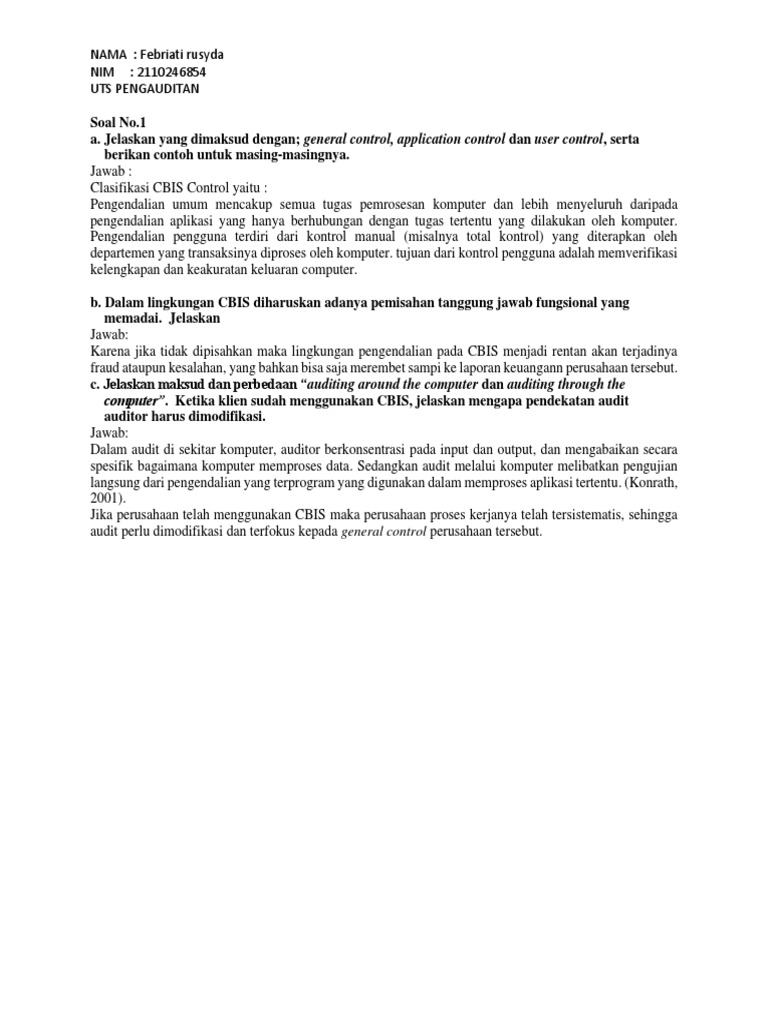 Febriati Rusyda Audit | PDF