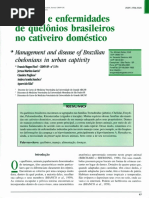 Identificação dos Canídeos Brasileiros | PDF | Canidae