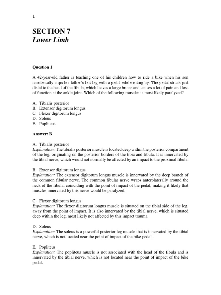 Material Mini Netter | PDF | Knee | Human Leg