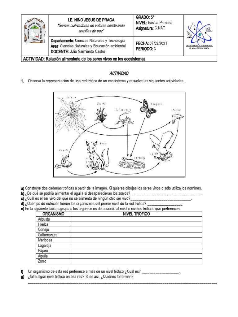 Actividades sobre Ecosistemas para Primaria | PDF