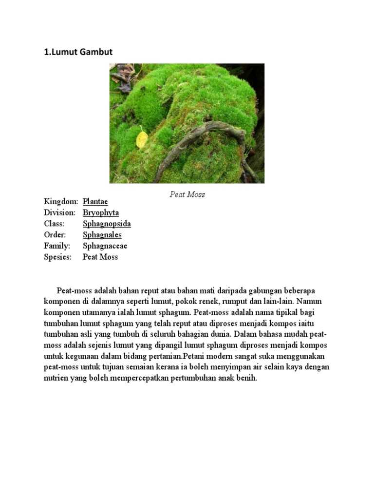 Taksonomi dan Jenis Lumut | PDF