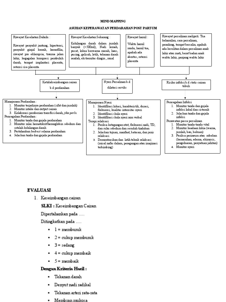 Mind Mapping PPP | PDF | Kesehatan Holistik