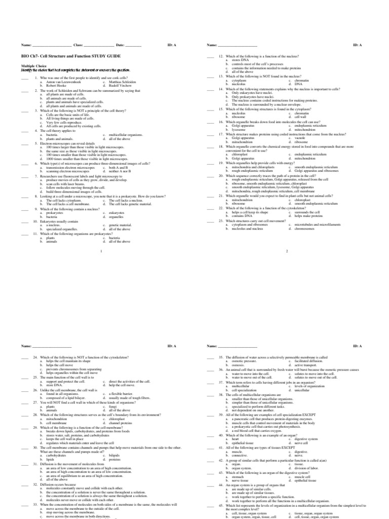 BIO Ch7 STUDY GUIDE | PDF | Cell Nucleus | Cell (Biology)