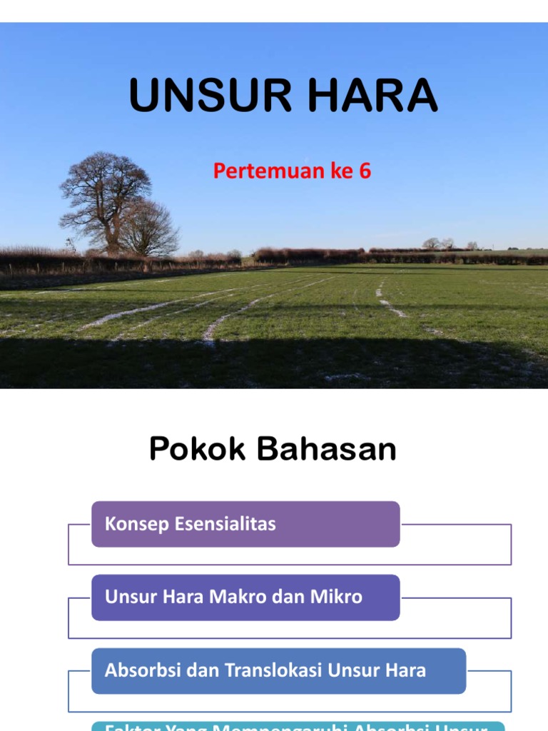 Kuliah - 6 Unsur Hara | PDF