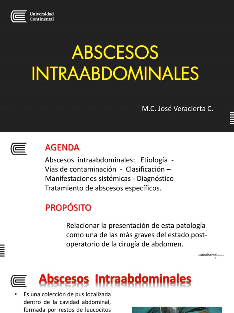 Abscesos Intraabdominales: Diagnóstico y Tratamiento | PDF ...