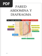 Anatomía del Orificio Miopectíneo | PDF | Abdomen | Anatomía humana