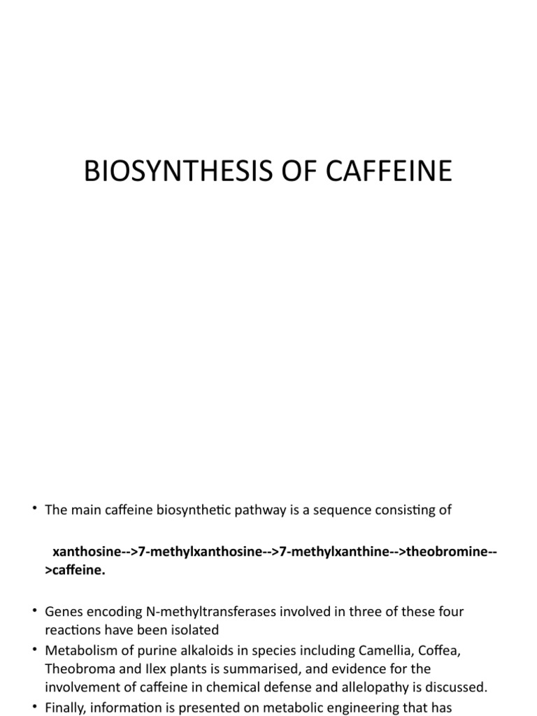 Caffeine Biosynthesis | PDF