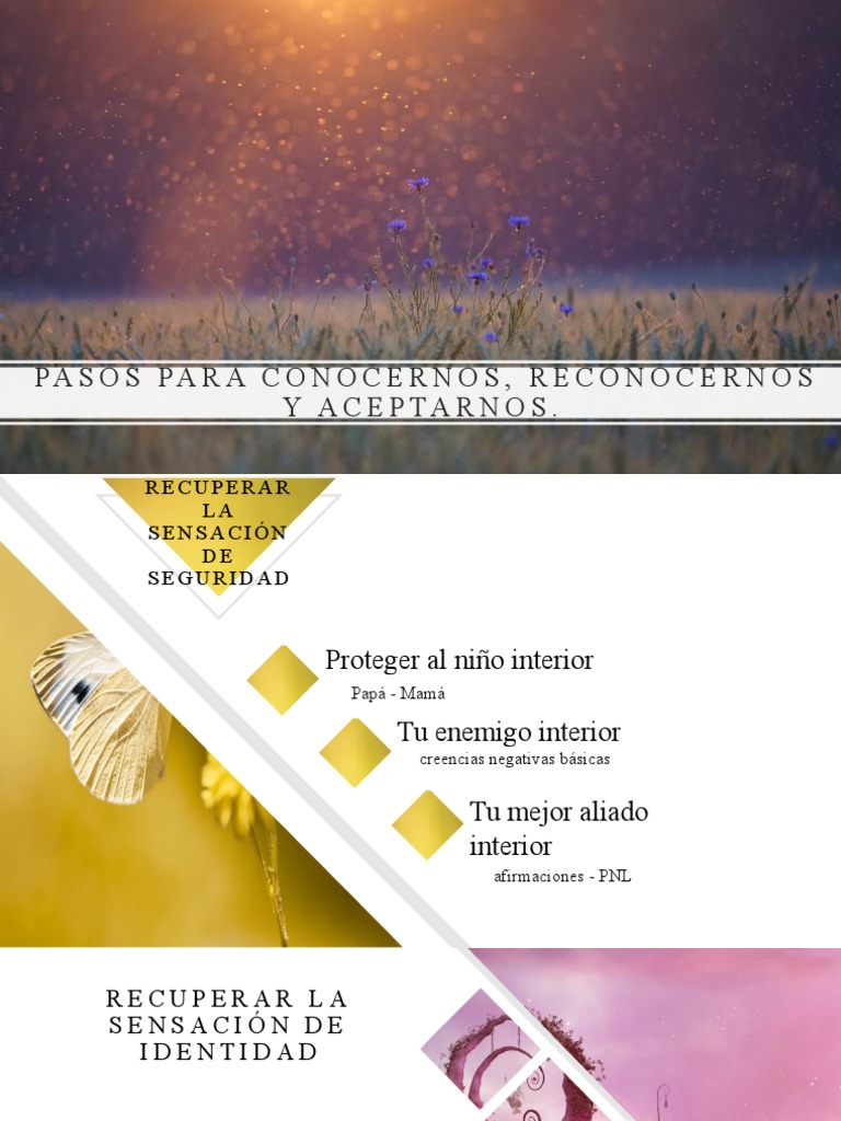 Pasos para Conocernos, Reconocernos y Aceptarnos | PDF