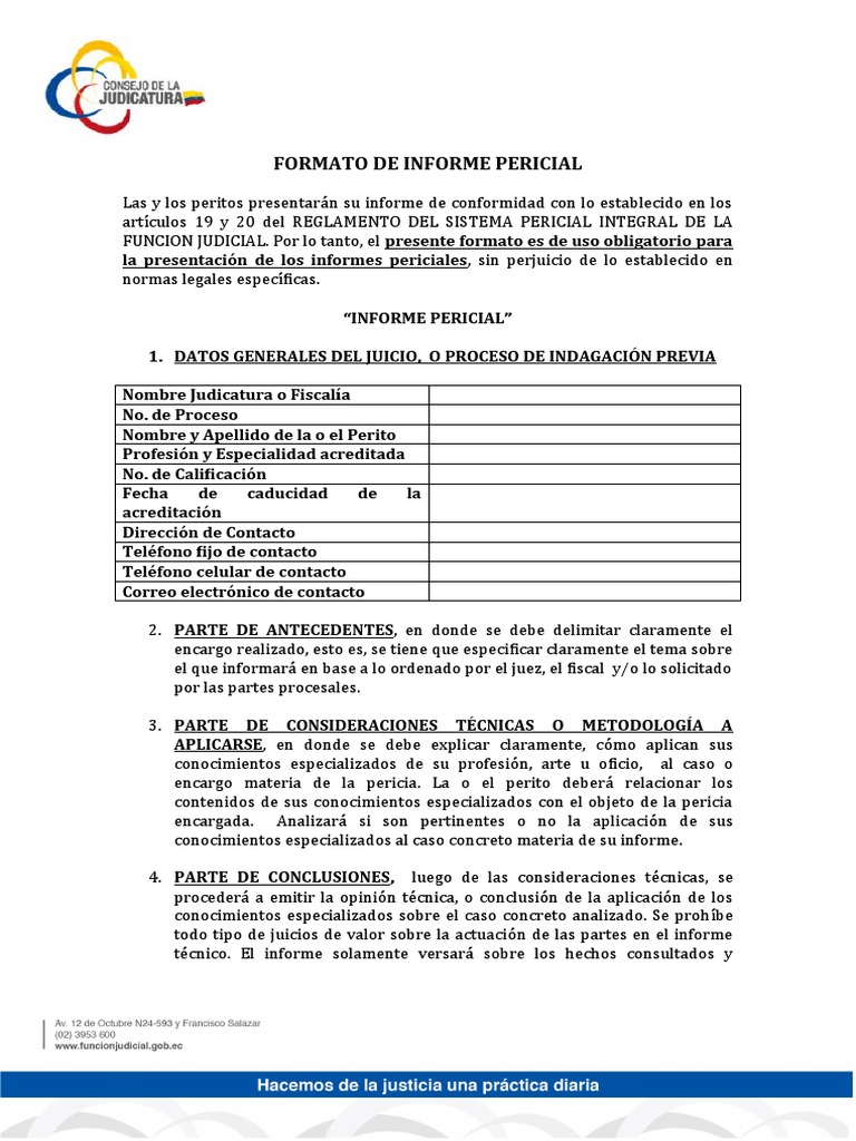 Formato de Informe Pericial | PDF | Experto