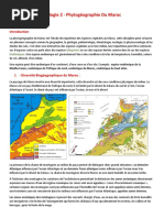 Sortie Écologique | PDF | Écologie | Plantes