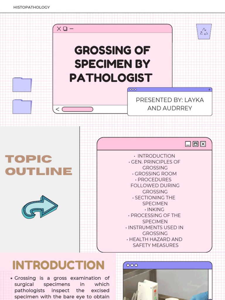 Histopathology Grossing Procedures | PDF | Pathology | Surgery
