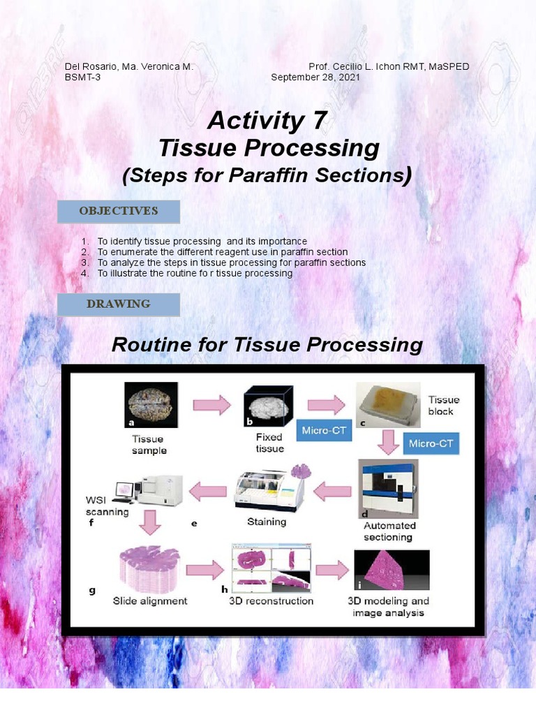 Histopath Activity 7 | PDF | Histology | Histopathology