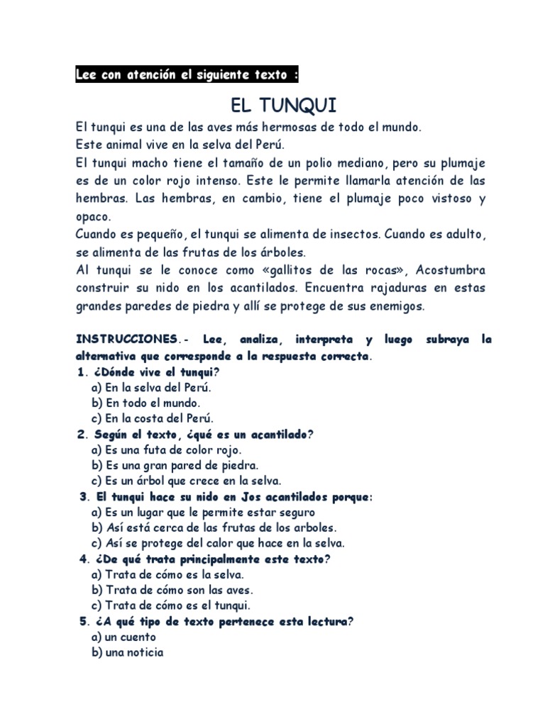 Ficha 3-El Tunqui | PDF | Hogar, jardinería y bricolaje