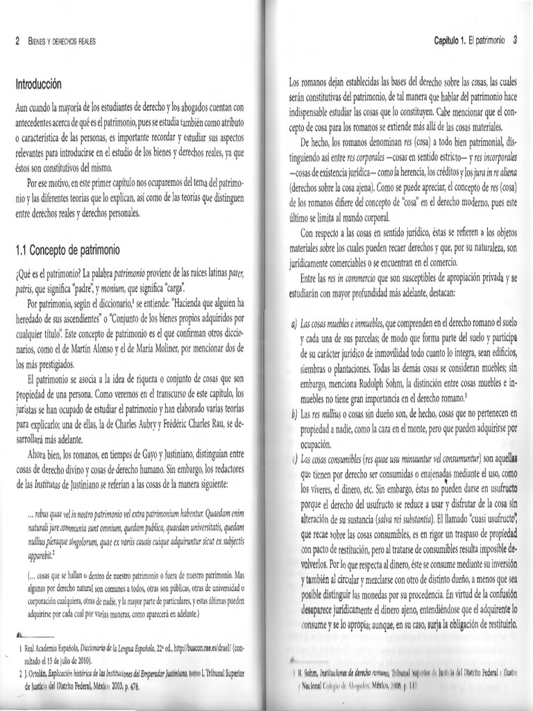 Bienes y Derechos - Muñoz Rocha | PDF | Bienes (Ley) | Propiedad