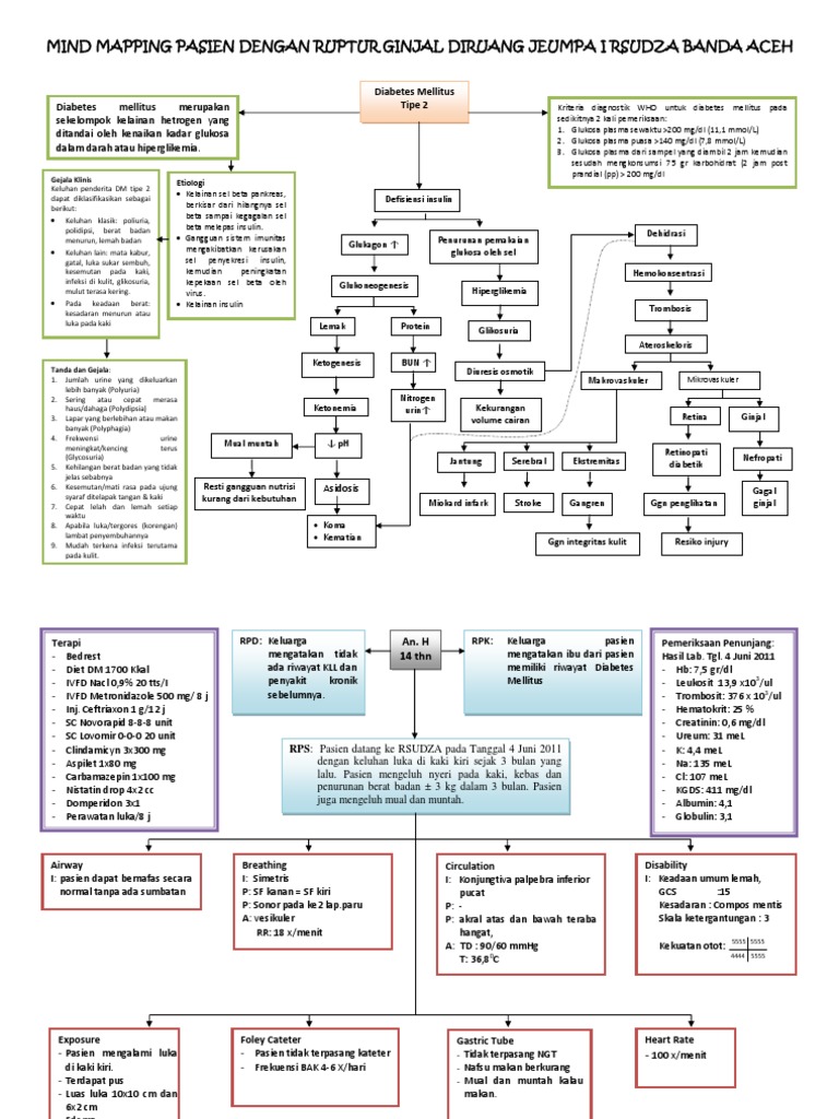 Mind Mapping Diabetes Mellitus | PDF