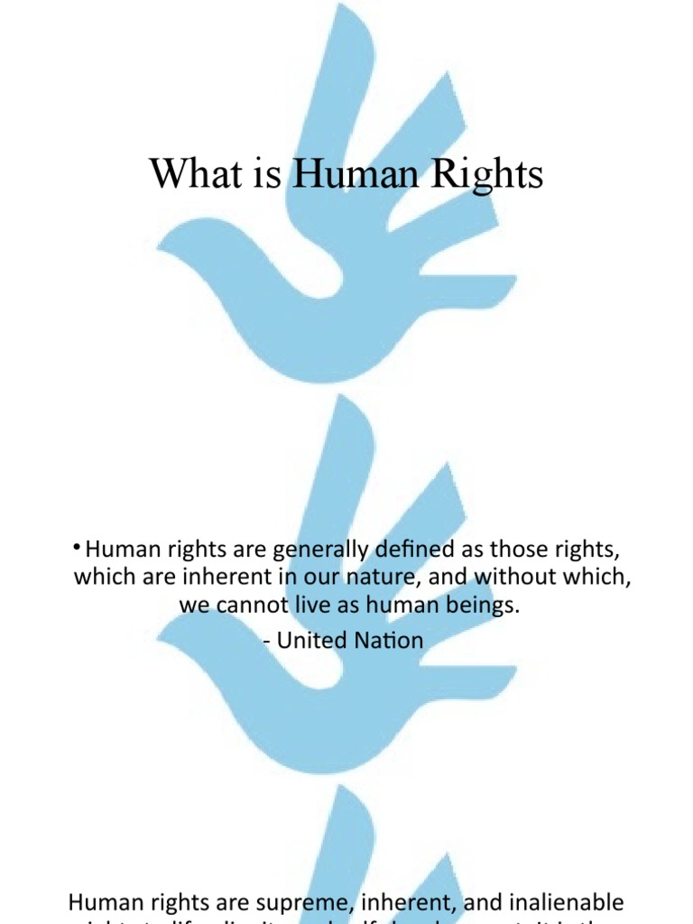 Understanding Human Rights: Types & History | PDF | International ...