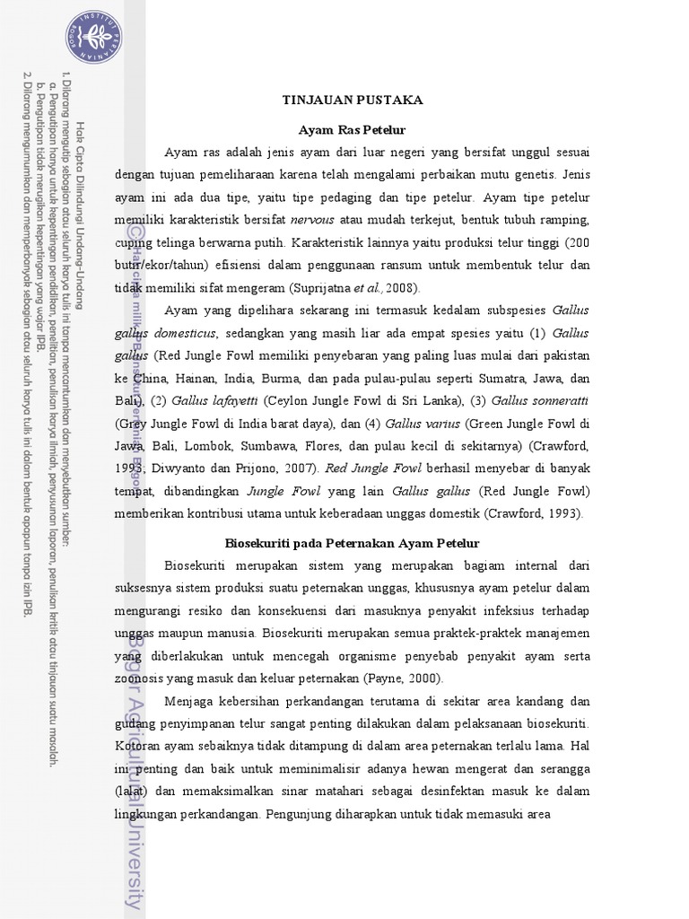 Tinjauan Pustaka Ayam Ras Petelur Biosekuriti Pada Peternakan Ayam Petelur | PDF