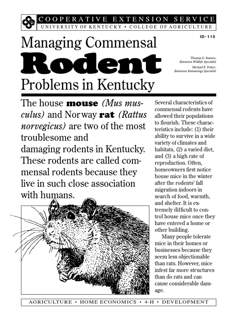 Managing Commensal: Rodent Rodent Rodent Rodent Rodent | PDF | Rodent | Rat