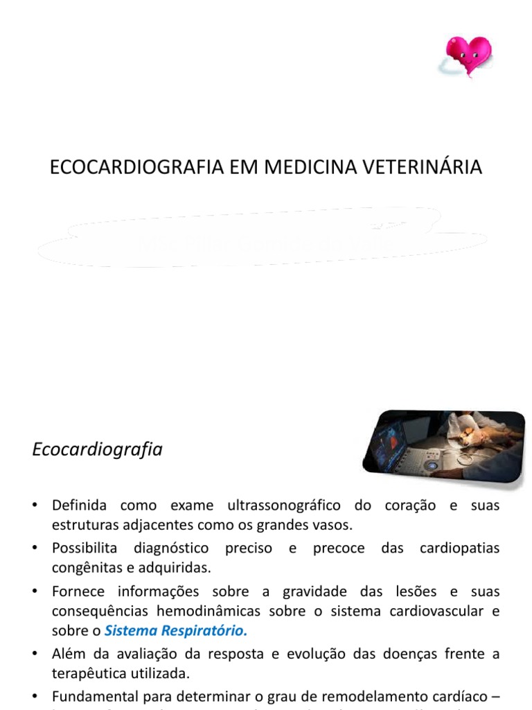 Ecocardiografia veterinária: Uma visão geral de sua aplicação no ...