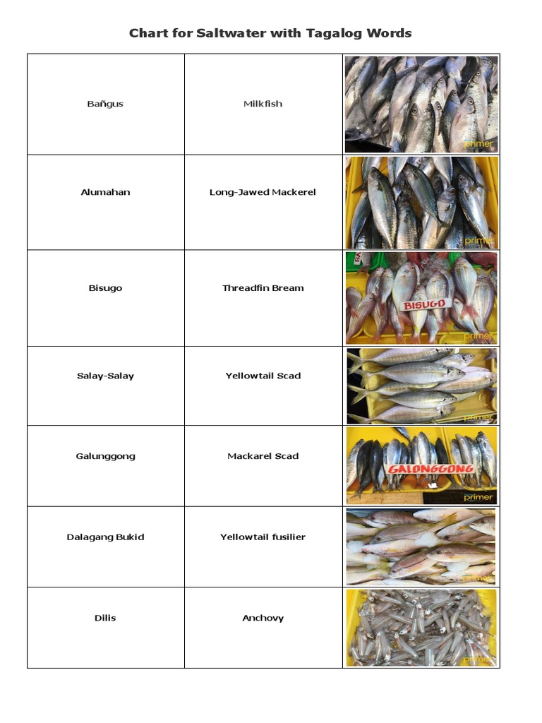 Saltwater Fish Names in Tagalog | PDF | Language Arts & Discipline ...