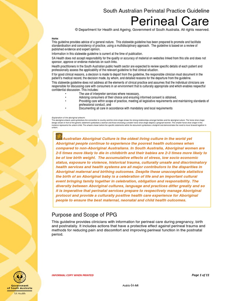 Perineal Care: South Australian Perinatal Practice Guideline | PDF ...