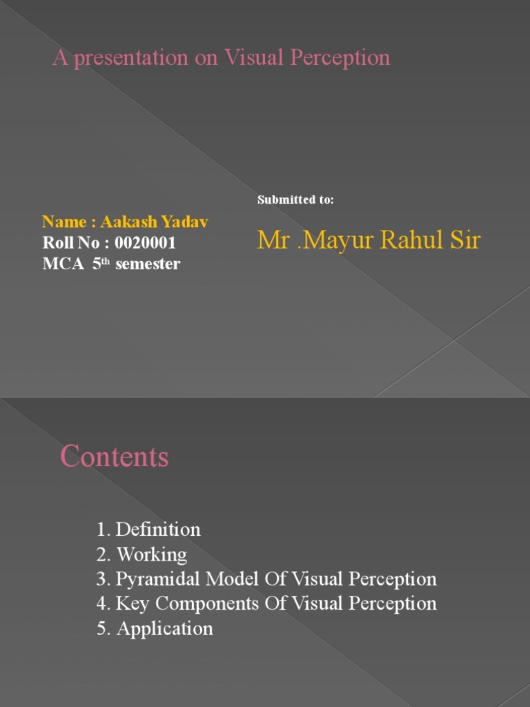 Visual Perception: A Guide to How We See and Interpret Our Surroundings ...