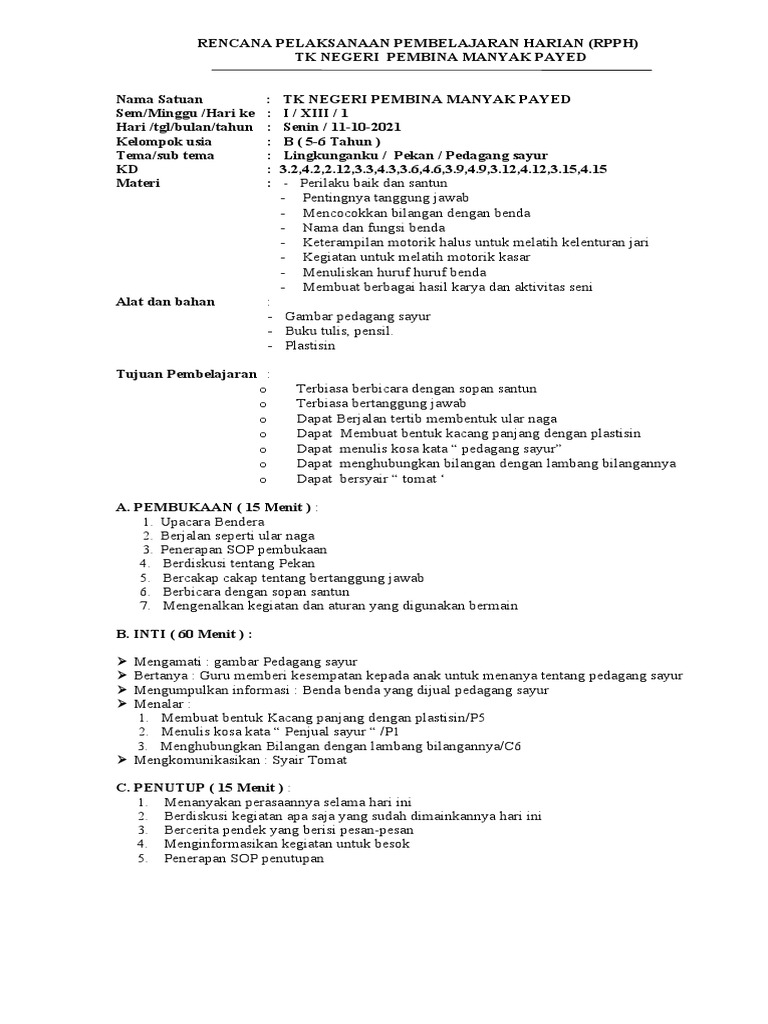 RPPH Lingkungan Pekan | PDF