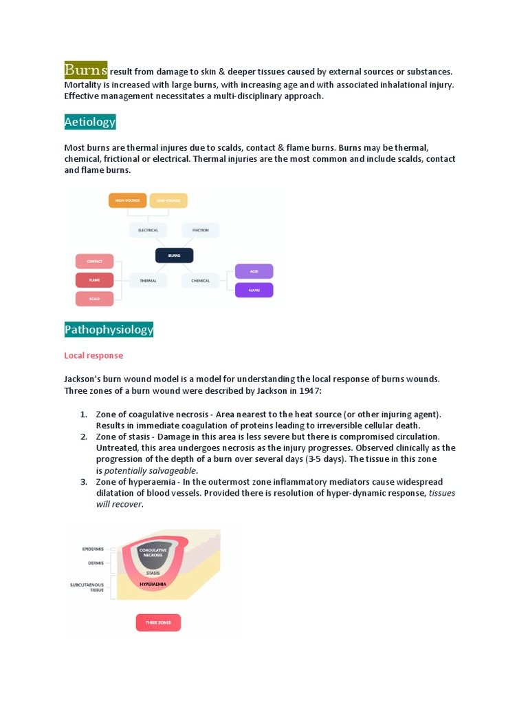 Burns Notes | PDF | Burn | Inflammation