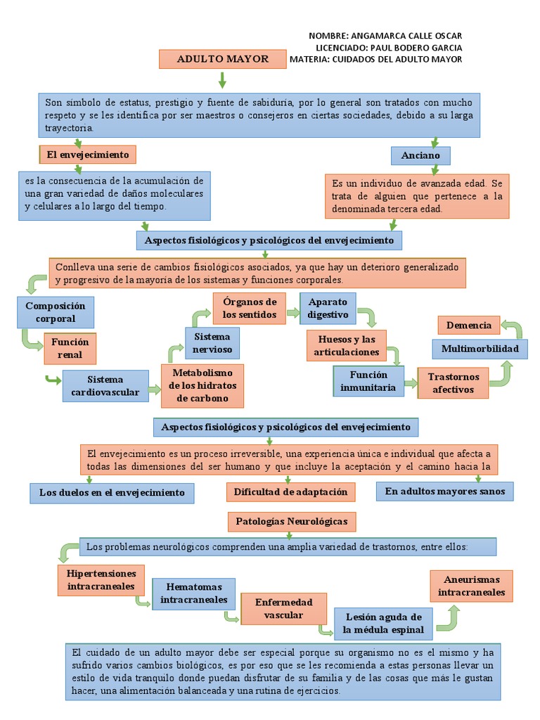Mapa Conceptual | PDF | Envejecimiento | Vejez