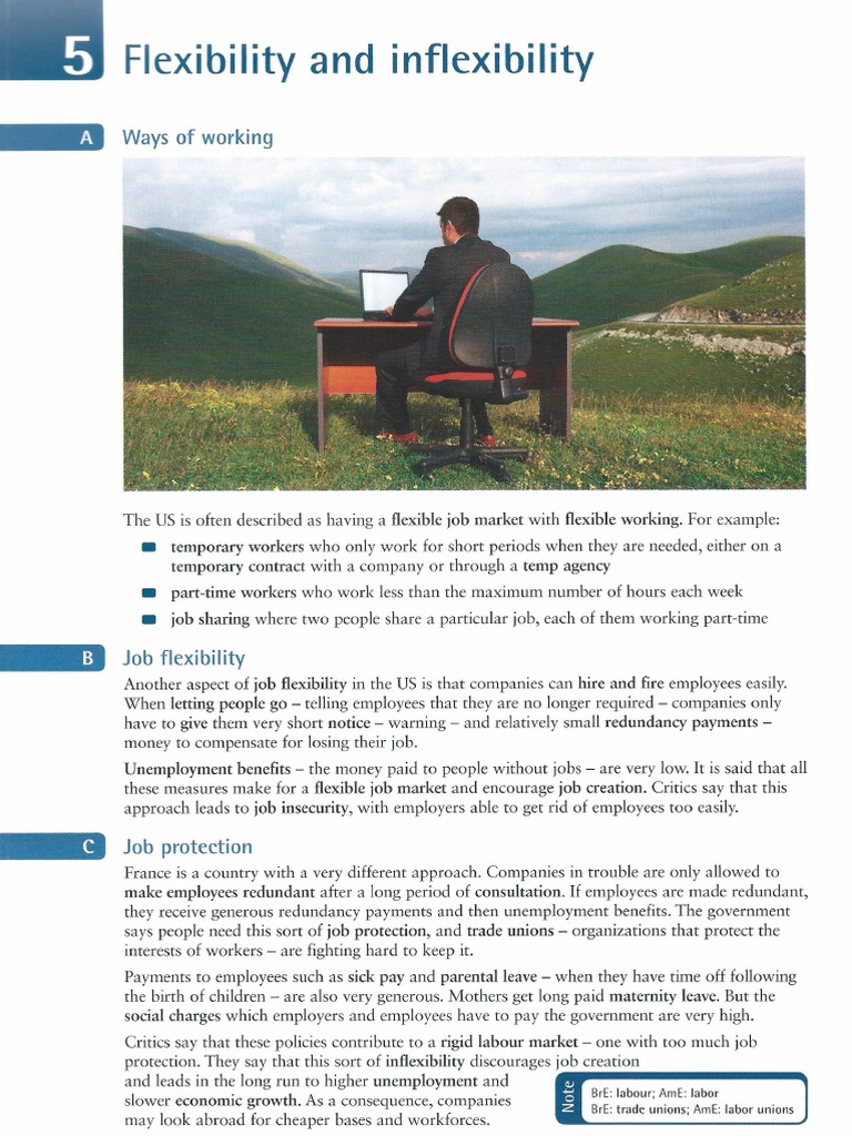 5 Business Vocabulary in Use - Flexibility and Inflexibility | PDF