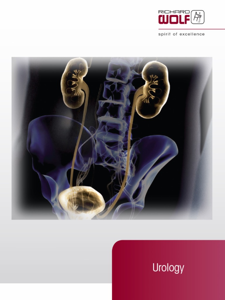 2013 Urology Catalog | PDF | Surgery | Medicine