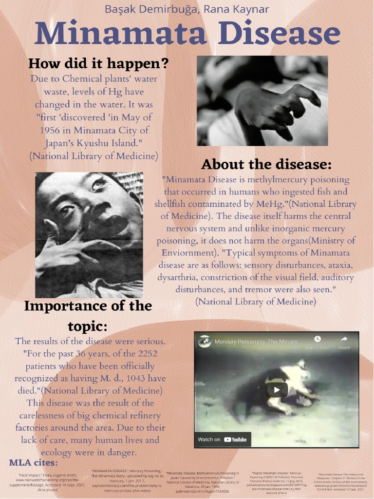 Minamata Disease Poster | PDF