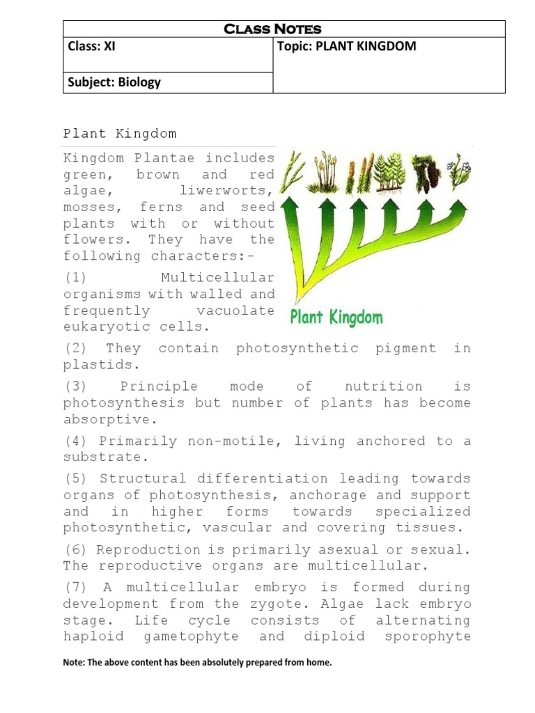 Plant Kingdom: Class Notes Class: XI Topic: Plant Kingdom Subject ...