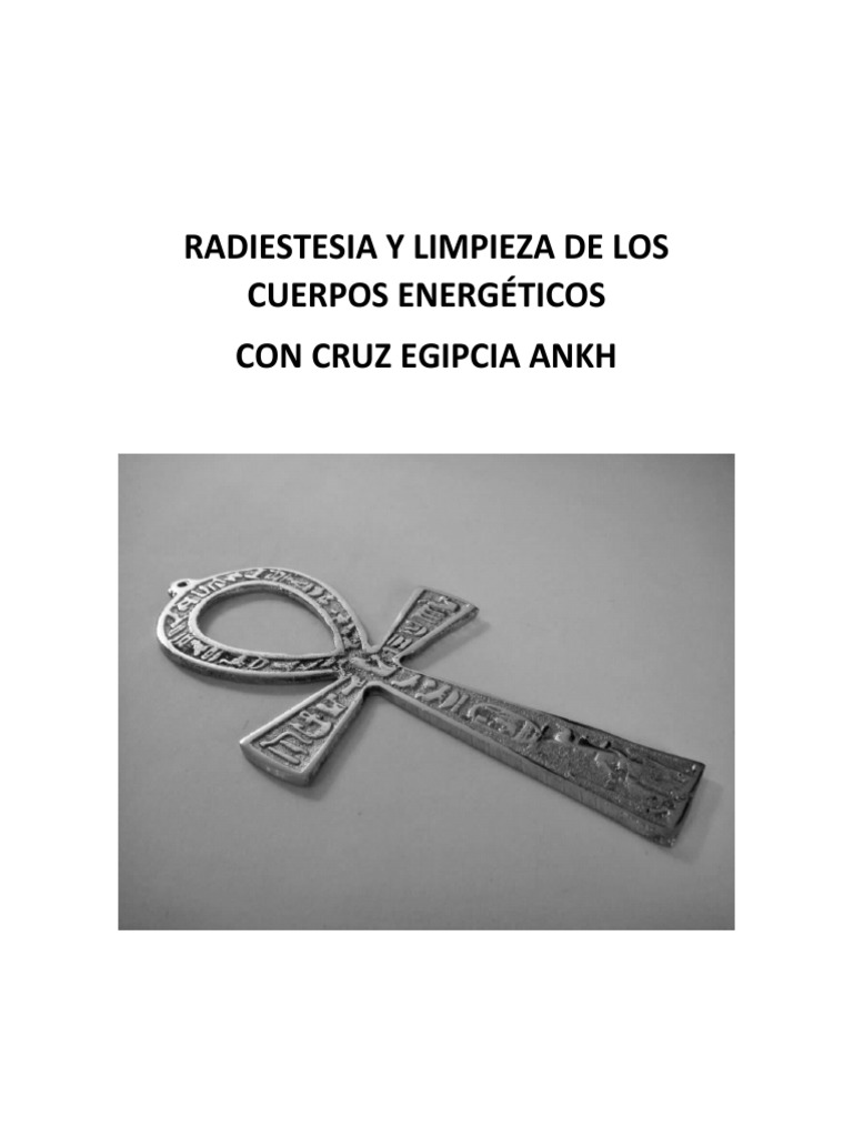 Manual Limpieza Ankh 2 PDF Free | PDF