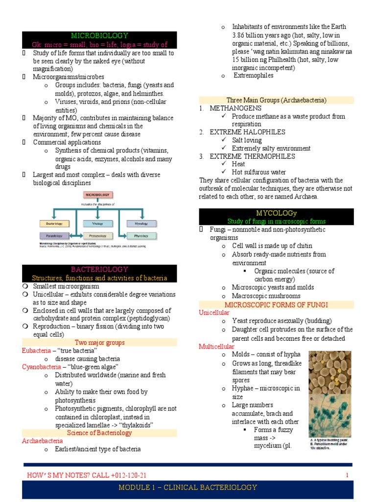 Module 1 - Clinical Bacte | PDF | Bacteria | Cell (Biology)