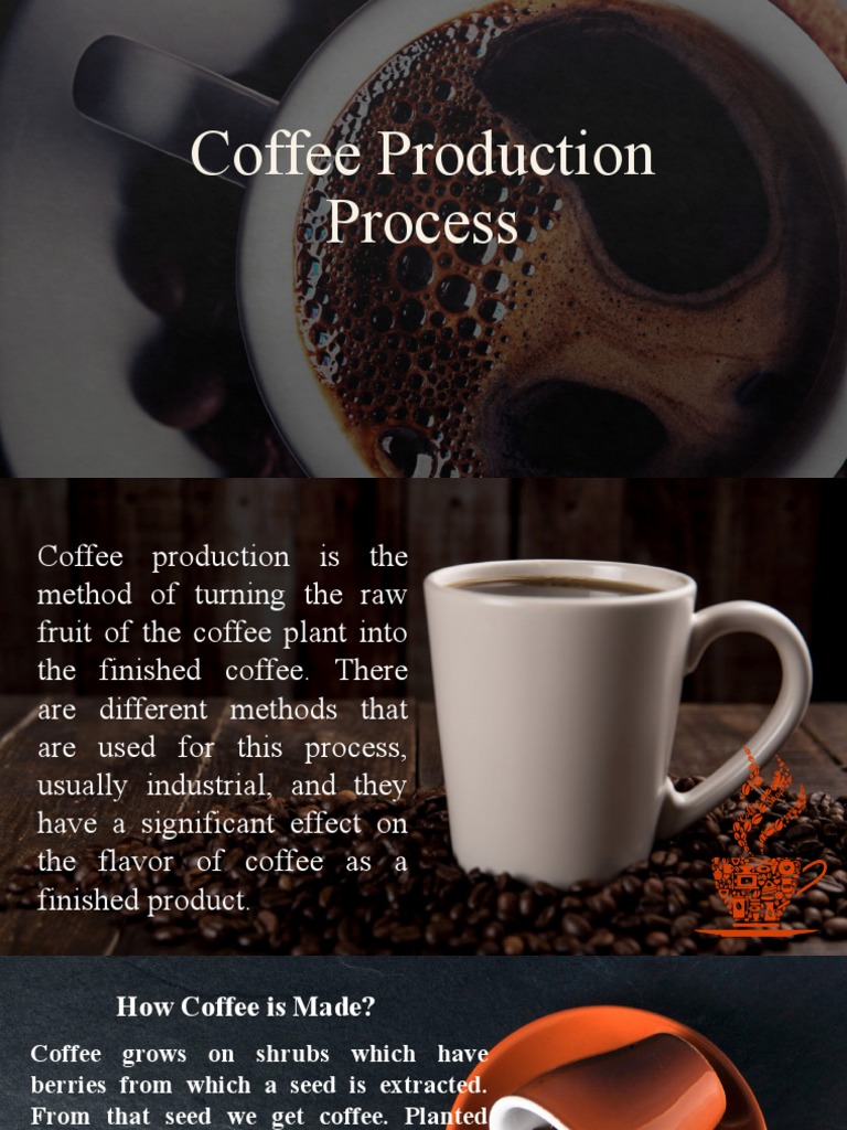 Coffee Production Process | PDF | Juice | Diet & Nutrition