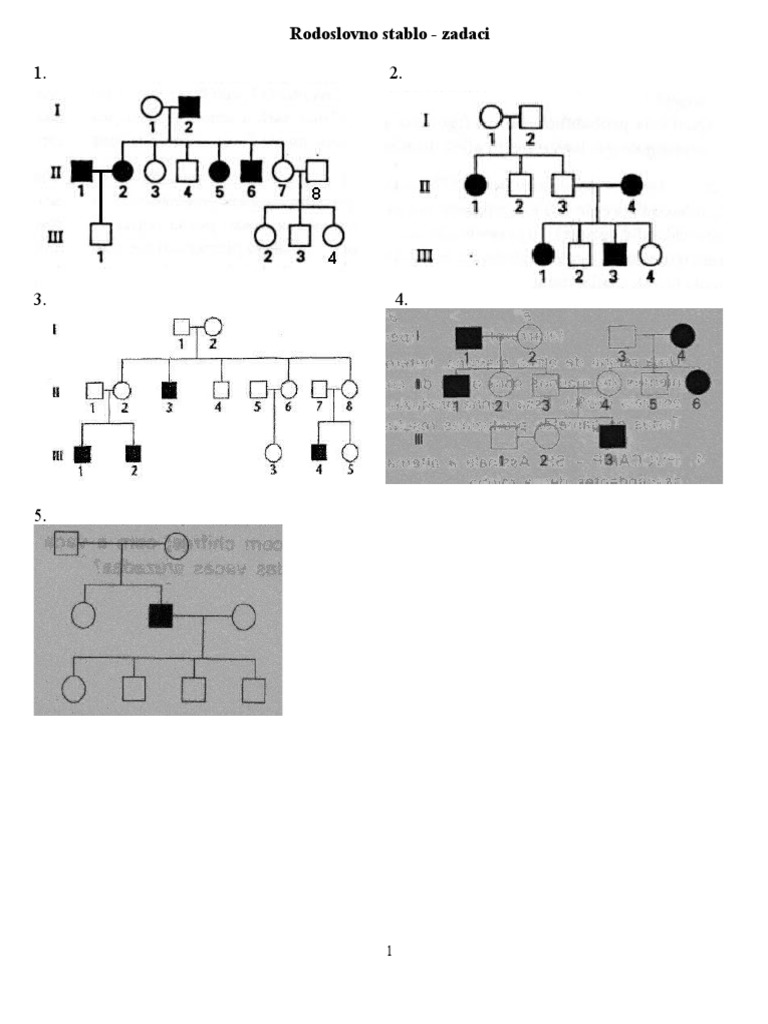 Rodoslovno Stablo-Zadaci Sa Rjesenjima | PDF