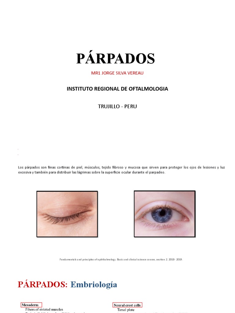 PÁRPADOS | PDF | Piel | Órganos sensoriales