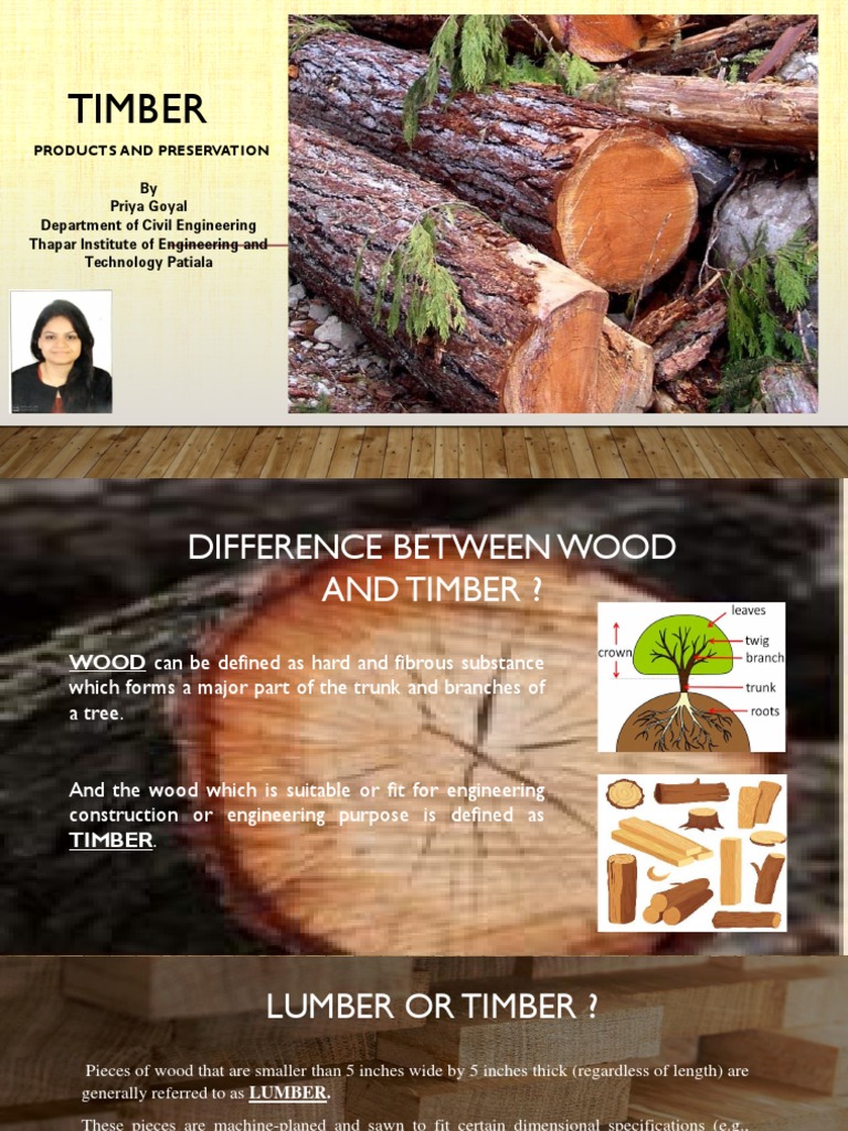 2 Timber | PDF | Lumber | Wood