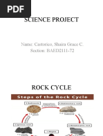 Everyday Uses of Sedimentary Rocks | PDF | Rock (Geology) | Igneous Rock