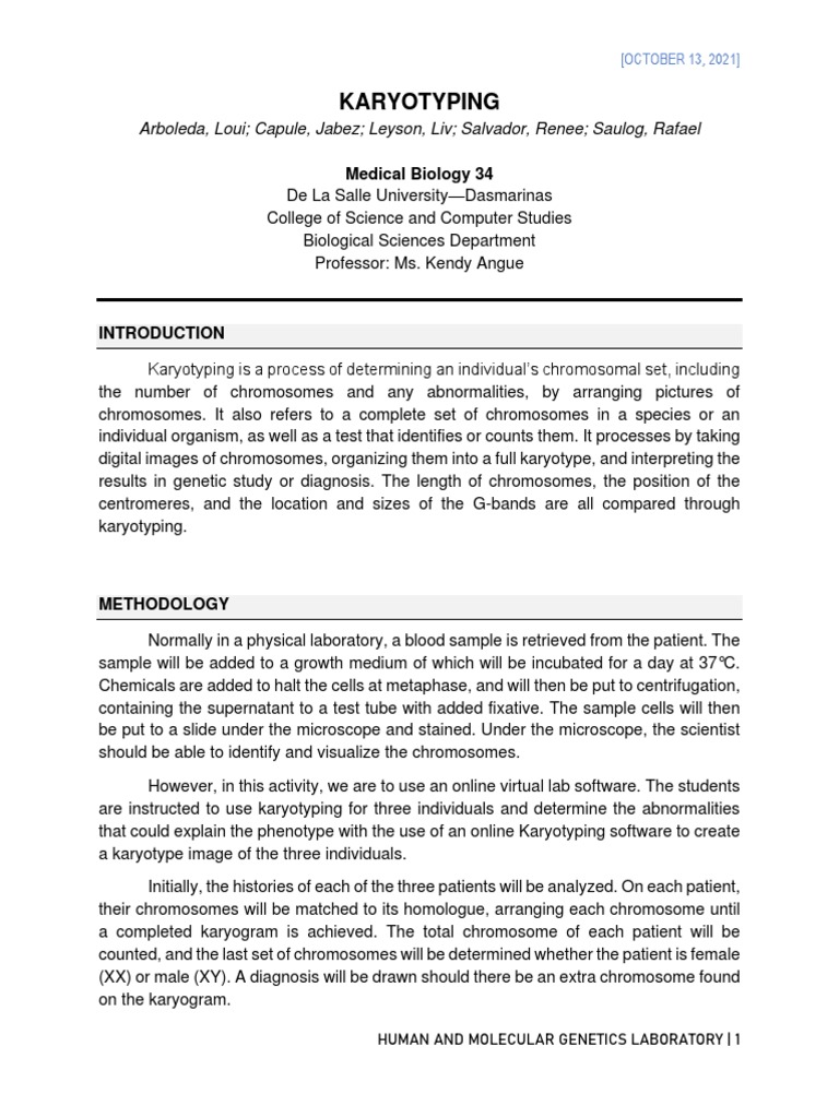 M3EA1 Karyotyping Group Work | PDF | Karyotype | Chromosome